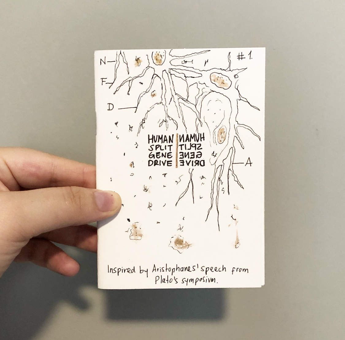 Human split Gene drive – Nathier Fernández